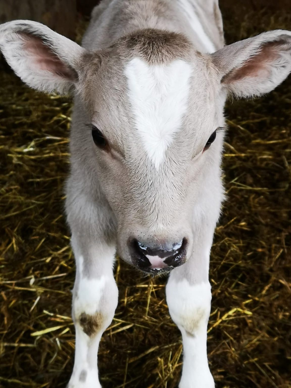 Darrach Croft – Starfish Travel