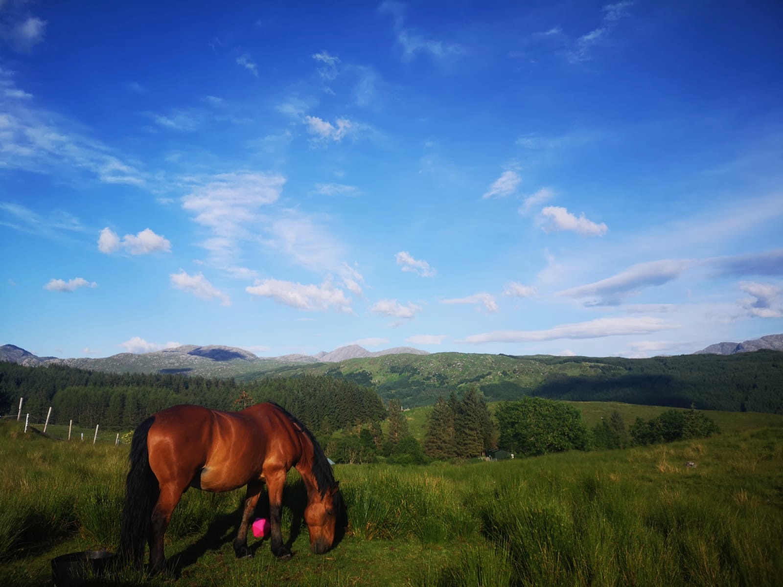 Darrach Croft – Starfish Travel