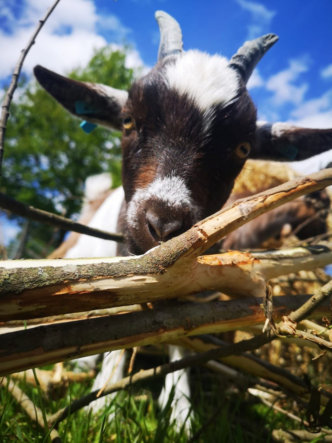 Darrach Croft – Starfish Travel