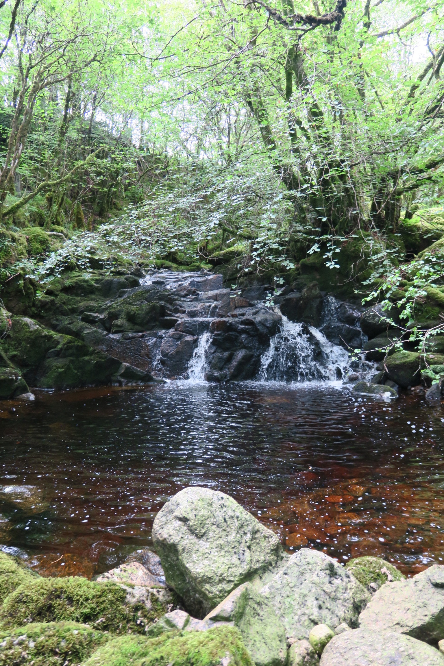 Darrach Croft – Starfish Travel