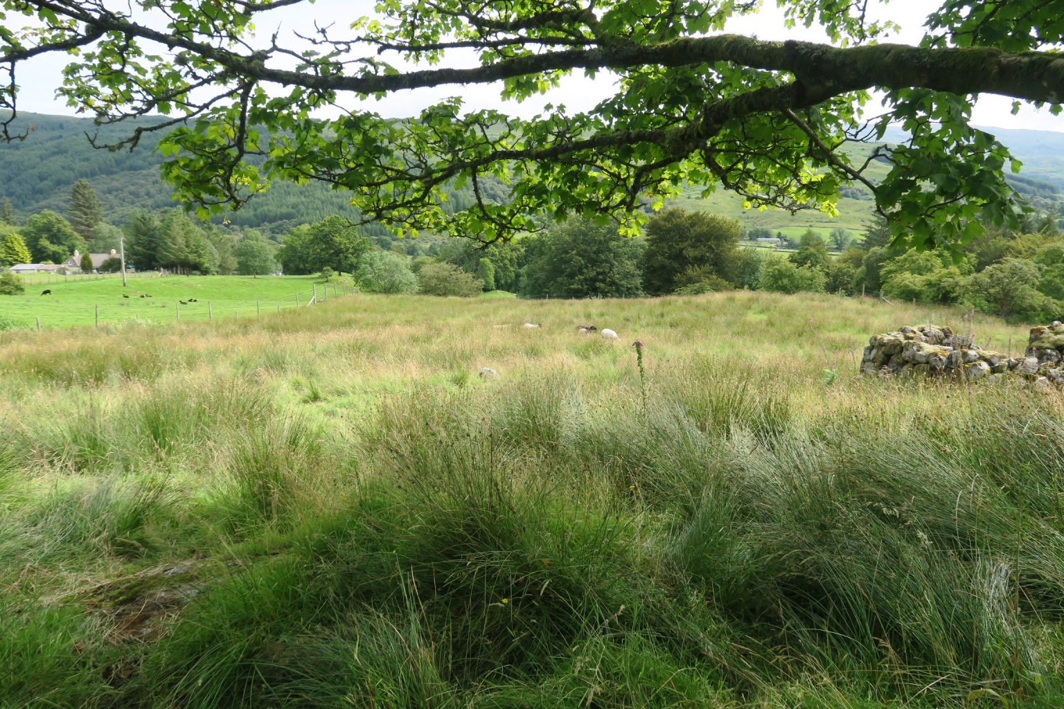 Darrach Croft – Starfish Travel