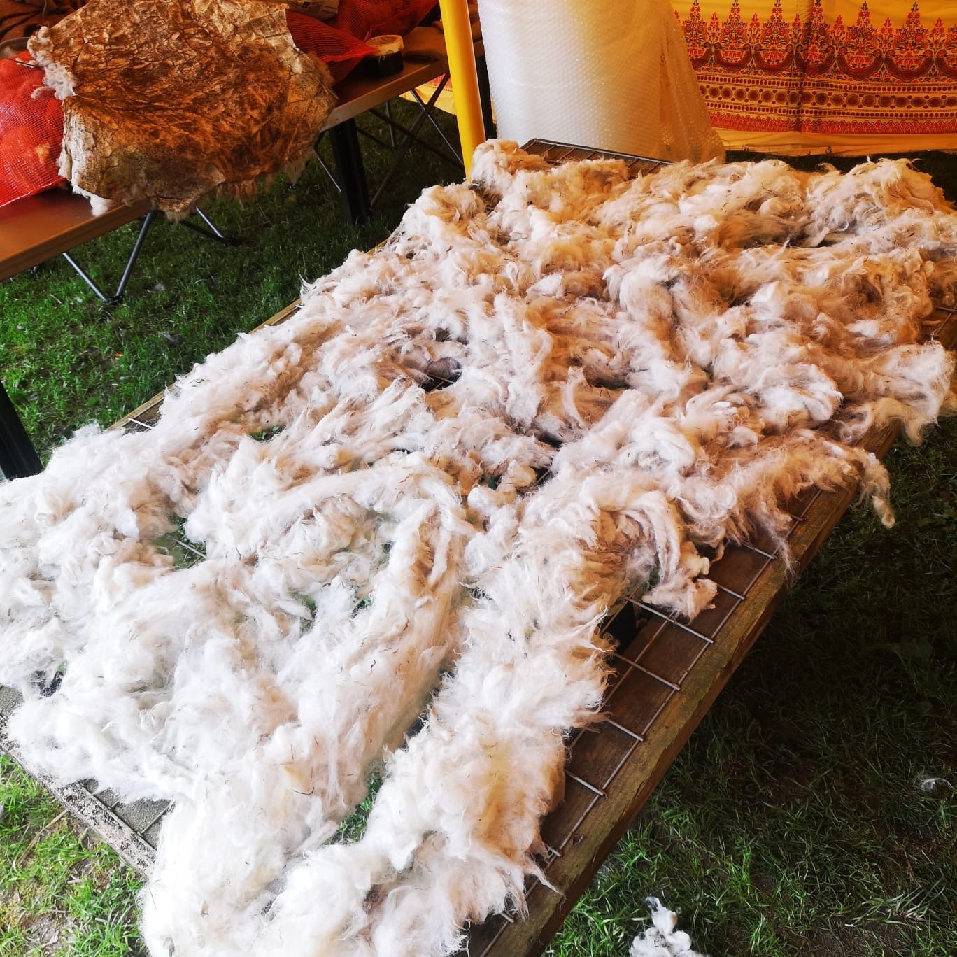 Darrach Croft – Starfish Travel