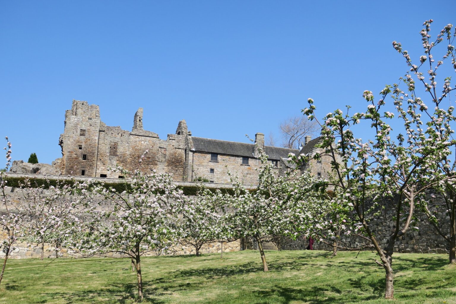 Outlander Tours – Starfish Travel