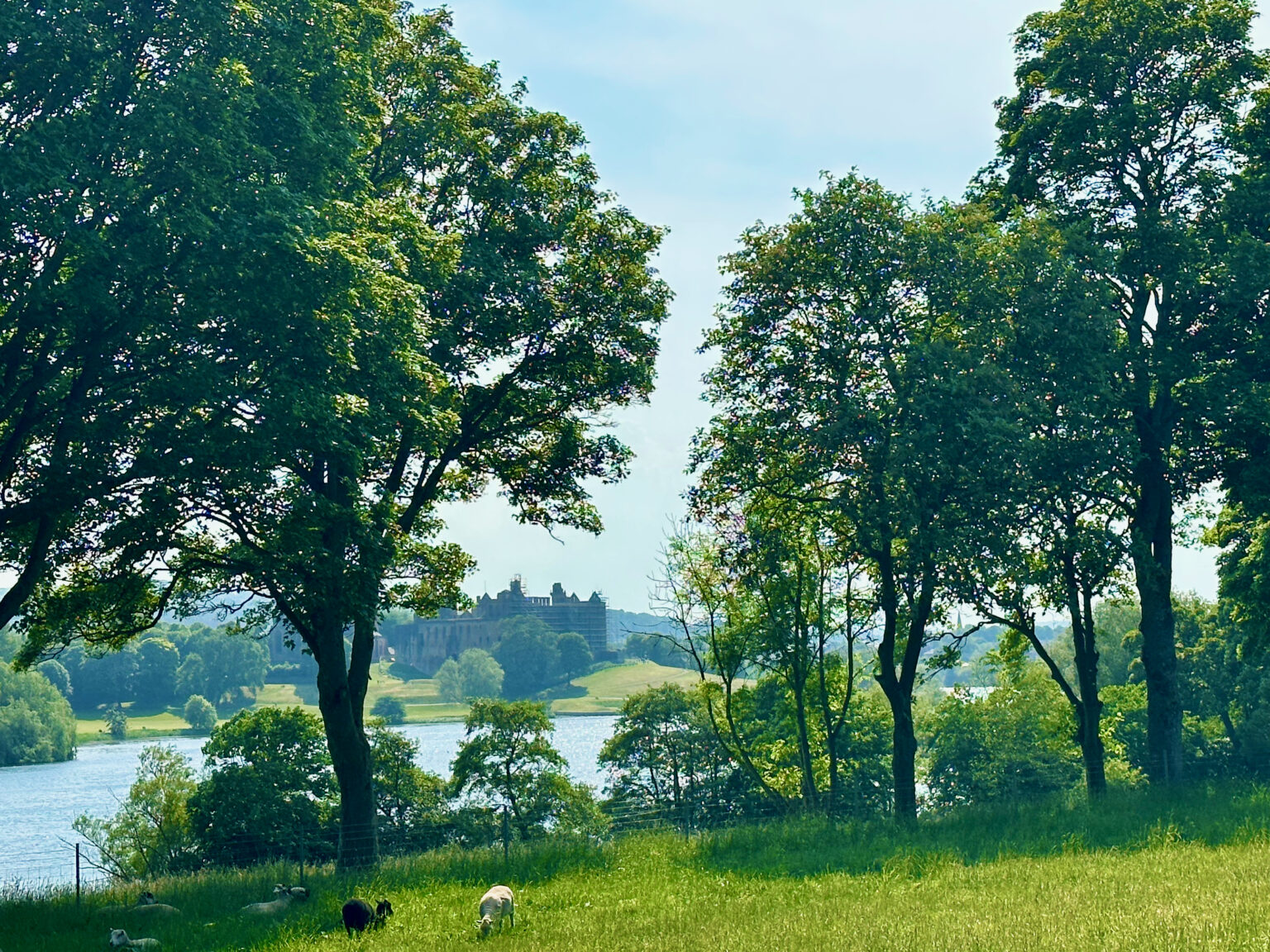 Outlander Tours – Starfish Travel